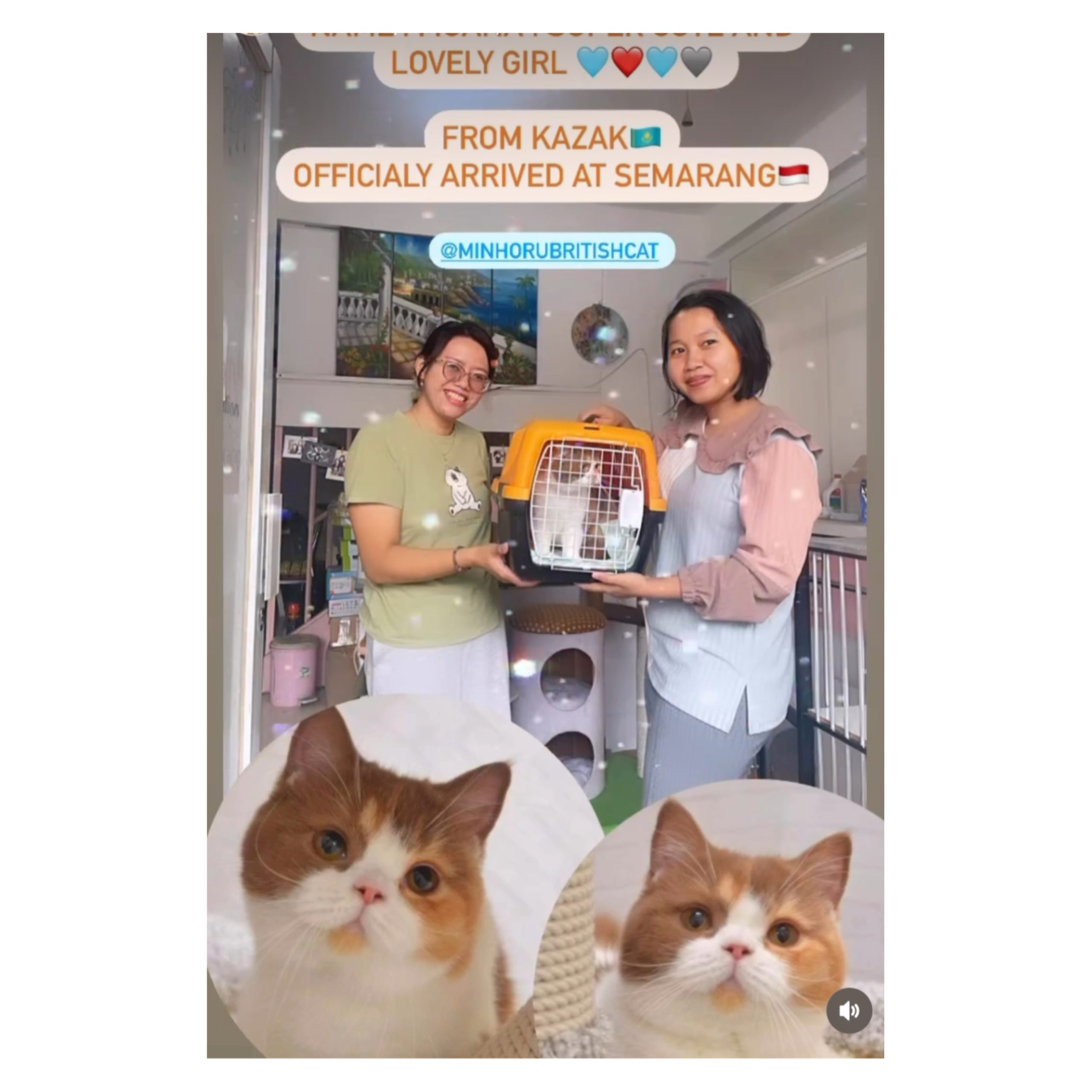 Our Customer | Pet Travel Indo