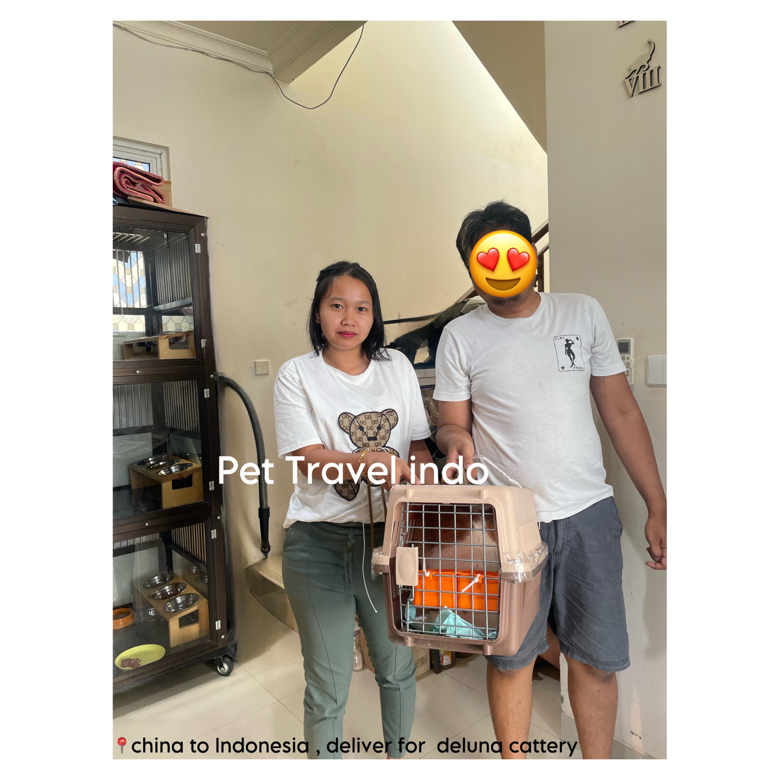 Our Customer | Pet Travel Indo